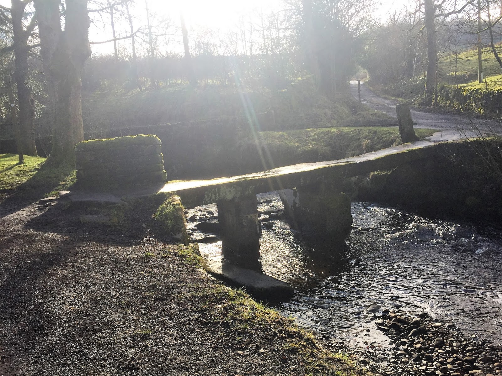 Walks and Rambles: Forest Of Trawden