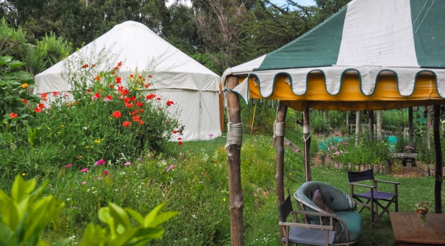 Travel With United Military Travel : Yurting Internationally - - - let ...