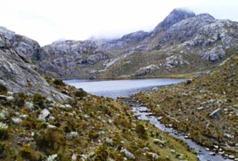 Venezuela Güigüe Tours: Mérida - Páramo Los Conejos - Edo. Mérida ...