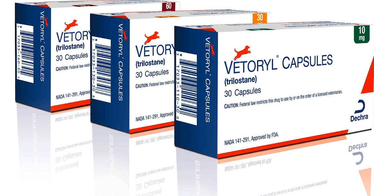 Insights into Veterinary Endocrinology: FDA Approves Release of Vetoryl ...