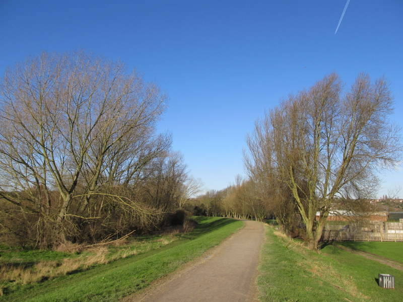 UK Wanderings: Colwick Country Park & Colwick Woods