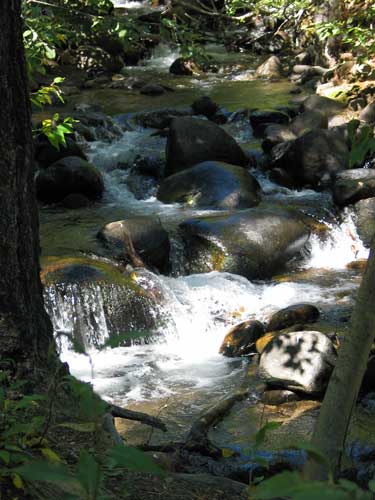 Reno Tahoe Plein Air Painters: Sept. 25, 2012 (Tues) Galena Creek ...