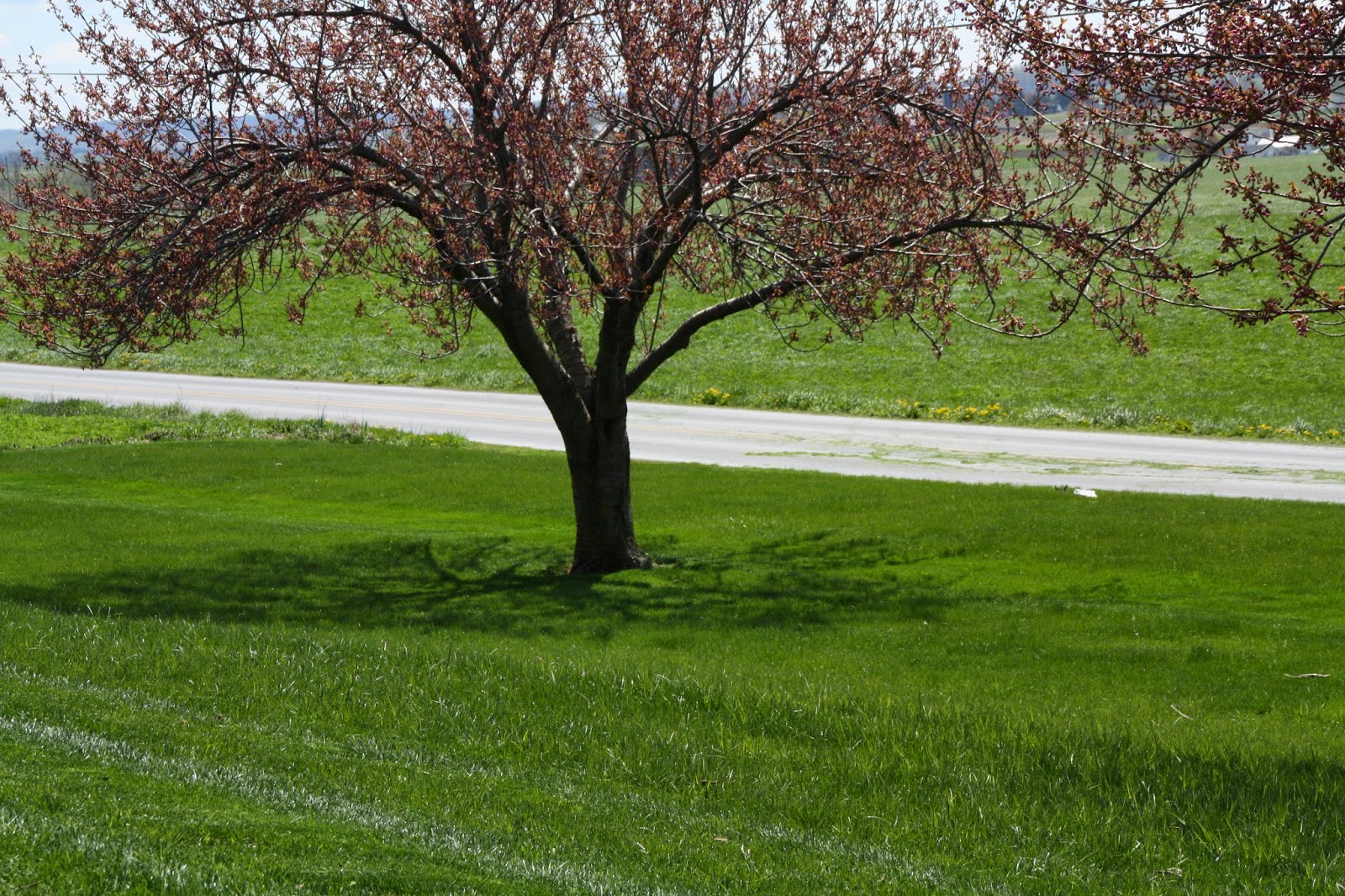 Real Life: Loving Spring!