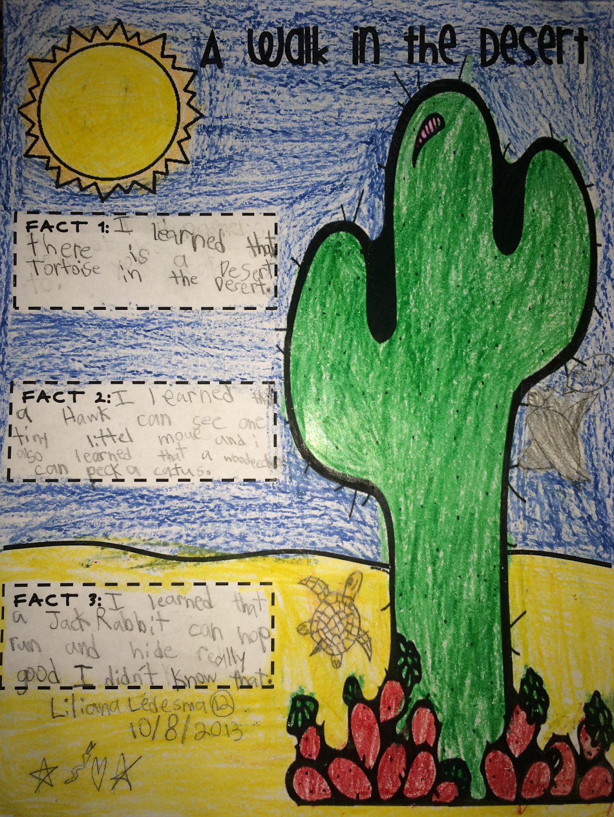 Totally Terrific in Texas: Reading Street- Desert Stories