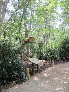 The Stir Crazy Moms' Guide to Durham: Dinosaurs at the Asheboro Zoo