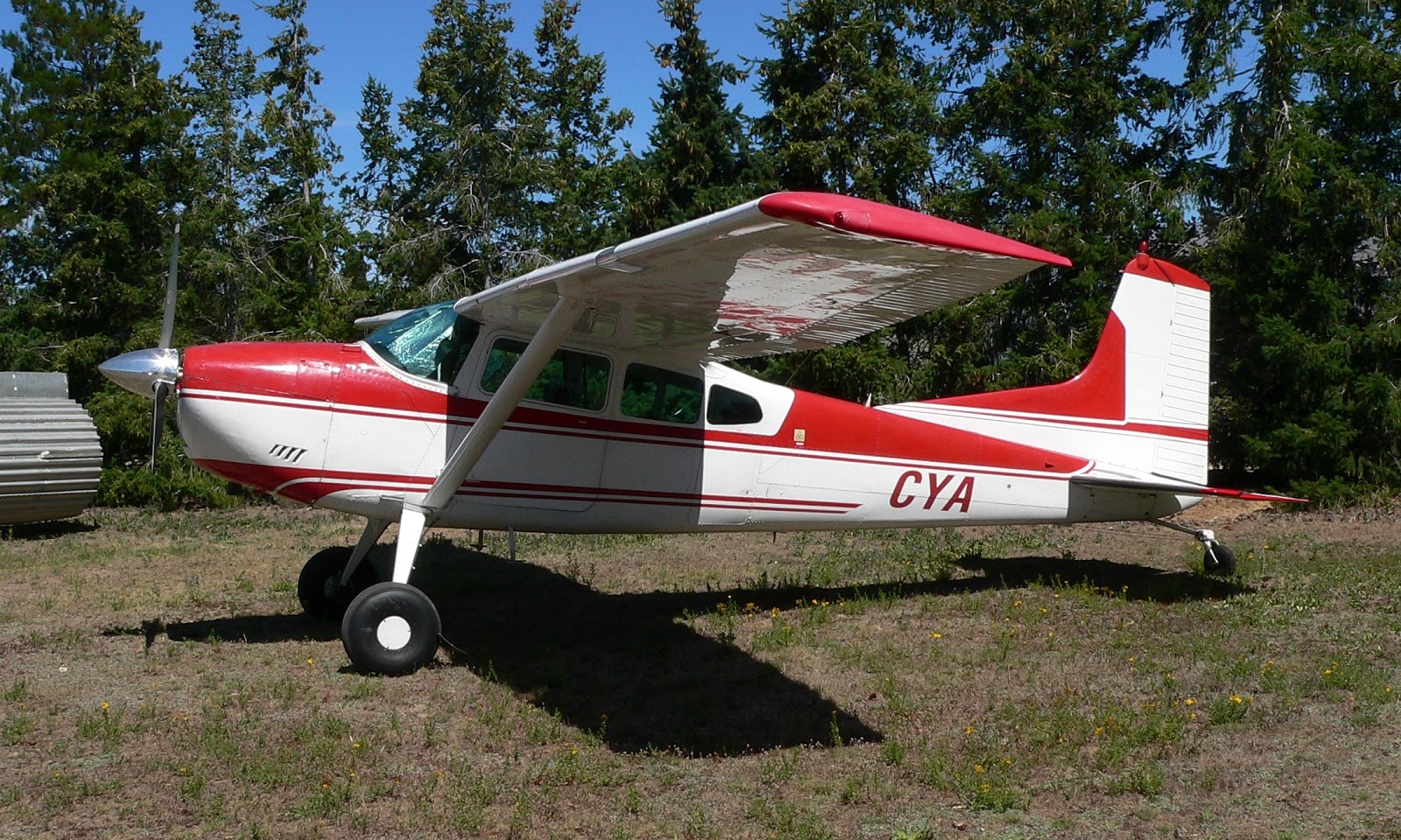 NZ Civil Aircraft: Recent tail dragger sightings.