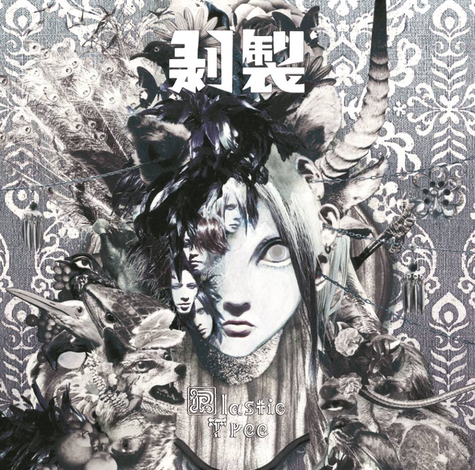 YUME J-MUSIC DISCOGRAPHY: Plastic Tree DISCOGRAFIA