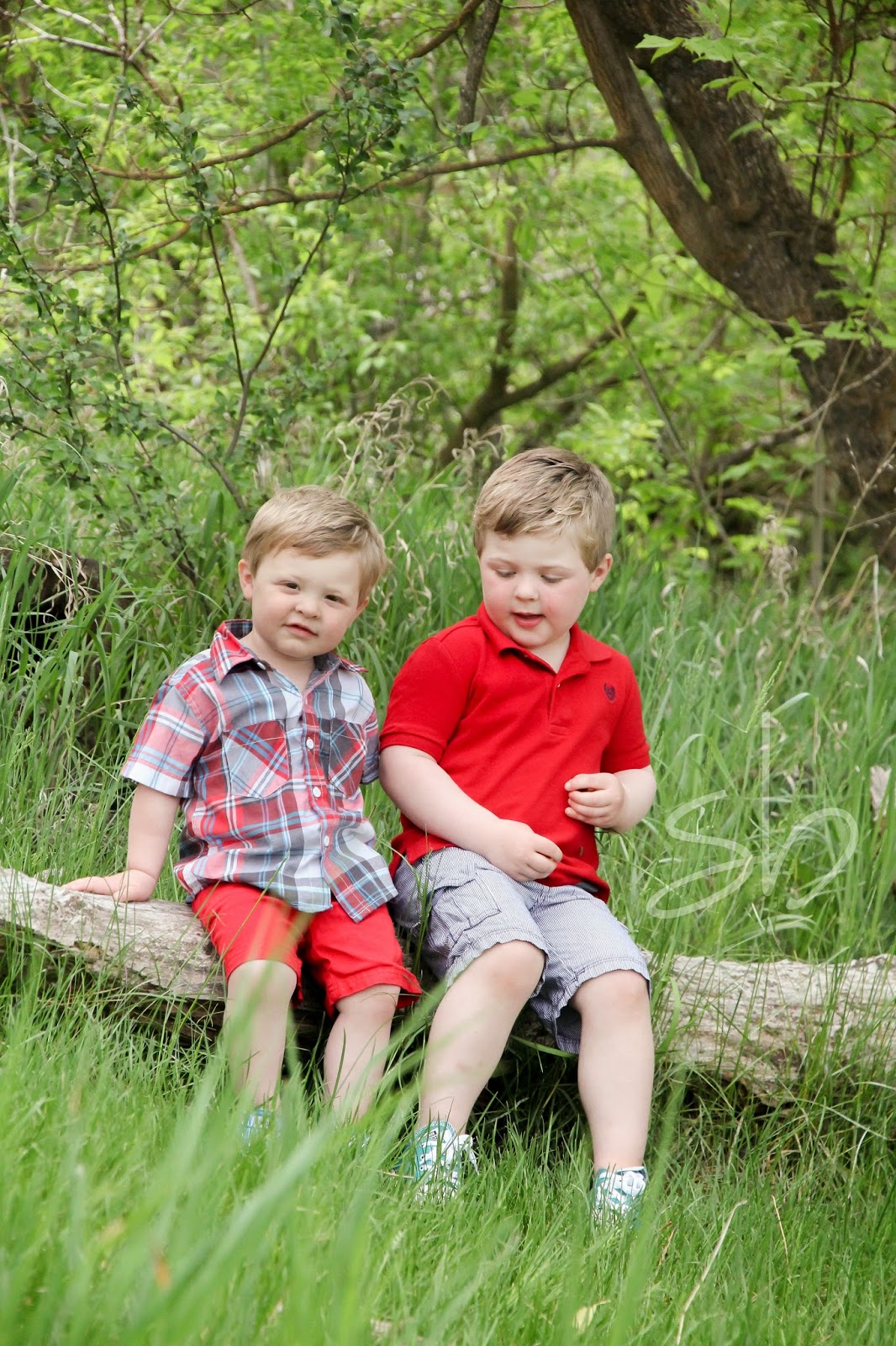 Sugarbee Photography : the dallman boys