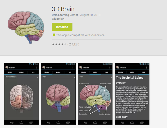 AP Psychology @AHS: Install 3D Brain APP on your Android/Tablet or ...