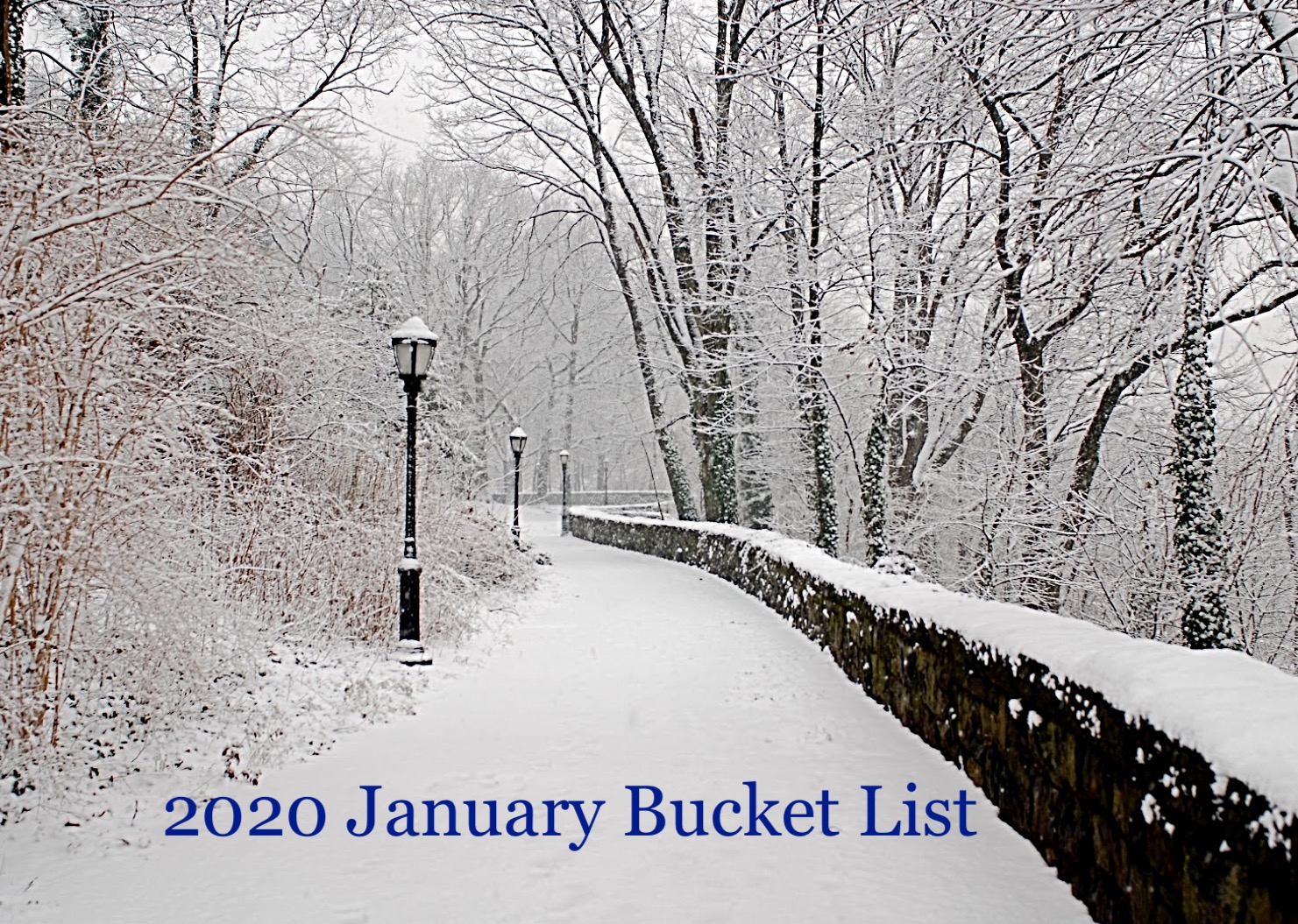 2020 January Bucket List - What I Accomplished | Julie's Creative Lifestyle
