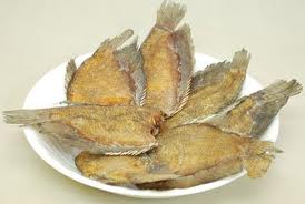 Anim Agro Technology: IKAN SEPAT