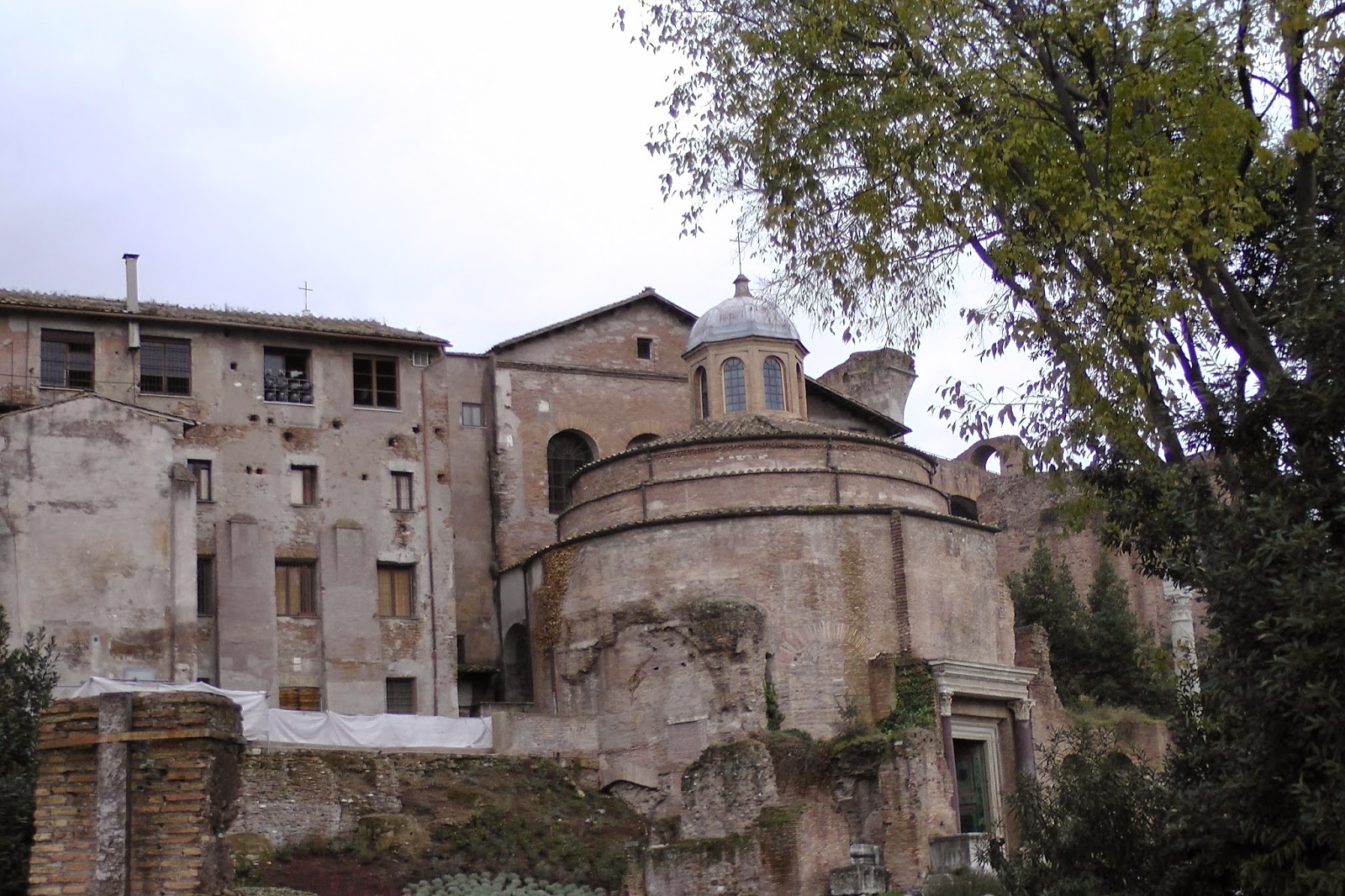 johncristiani: ROME - ROMAN FORUM