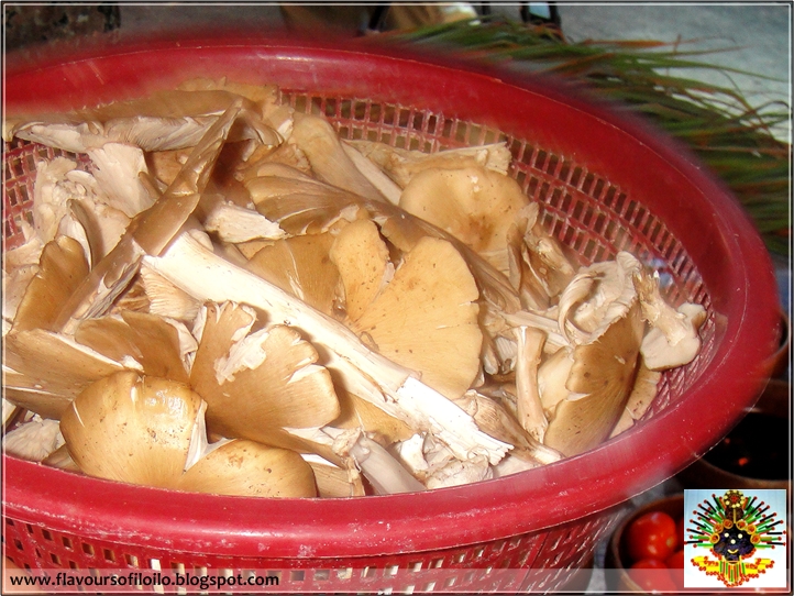 Tino-um nga Uhong nga may Patola