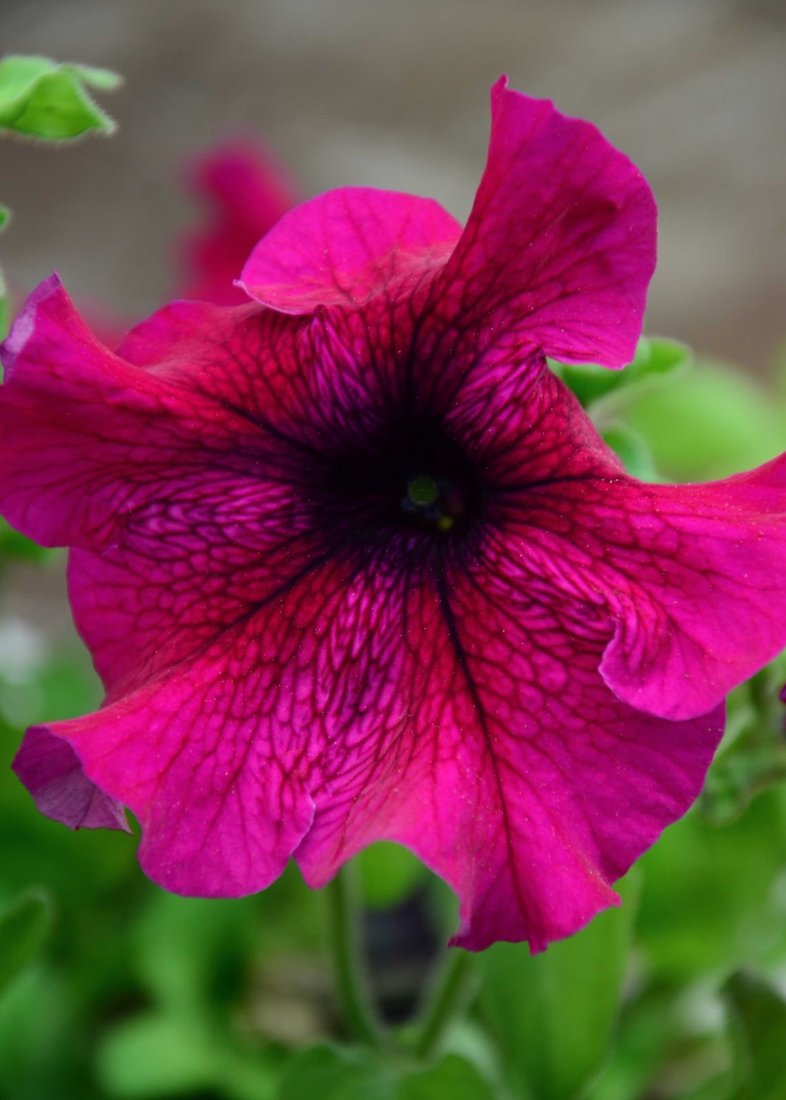 The Art of Photography. OCA.: Exercise 25. Primary and Secondary Colours