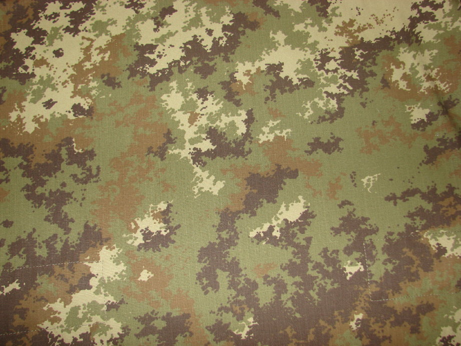 Finally tried out my new CADPAT camo in the field. Kinda disappointed ...