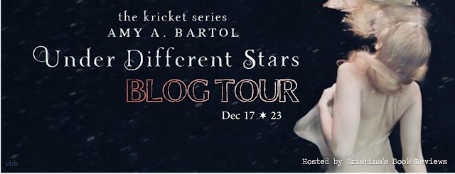 The Road Is You: Blog Tour: Under Different Stars by Amy A. Bartol