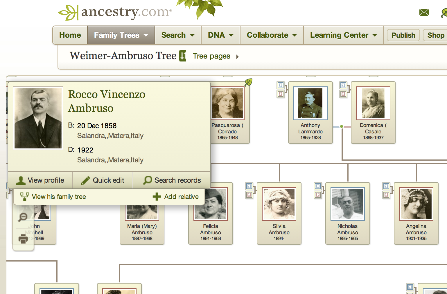 Ambruso Family History: Weimer-Ambruso Tree on Ancestry