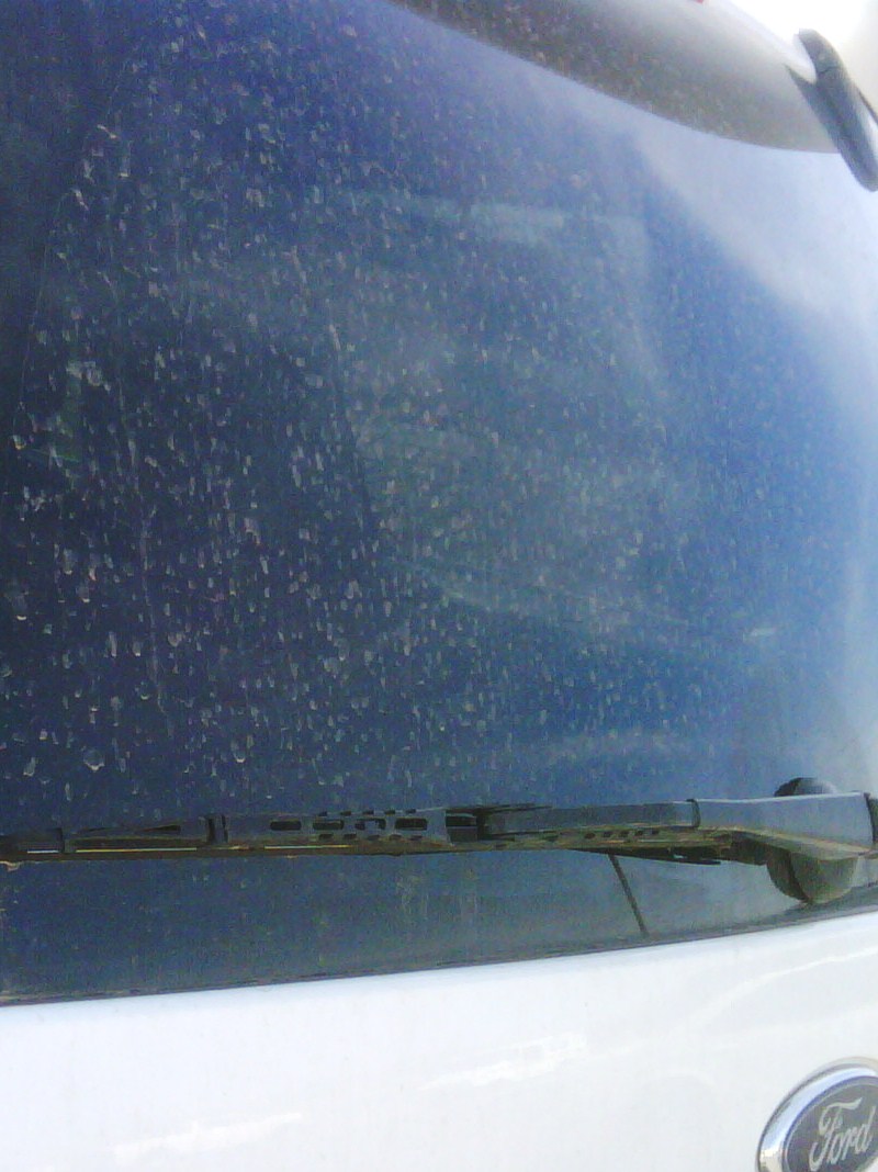 South Kansas City Observer: Dirty Rain