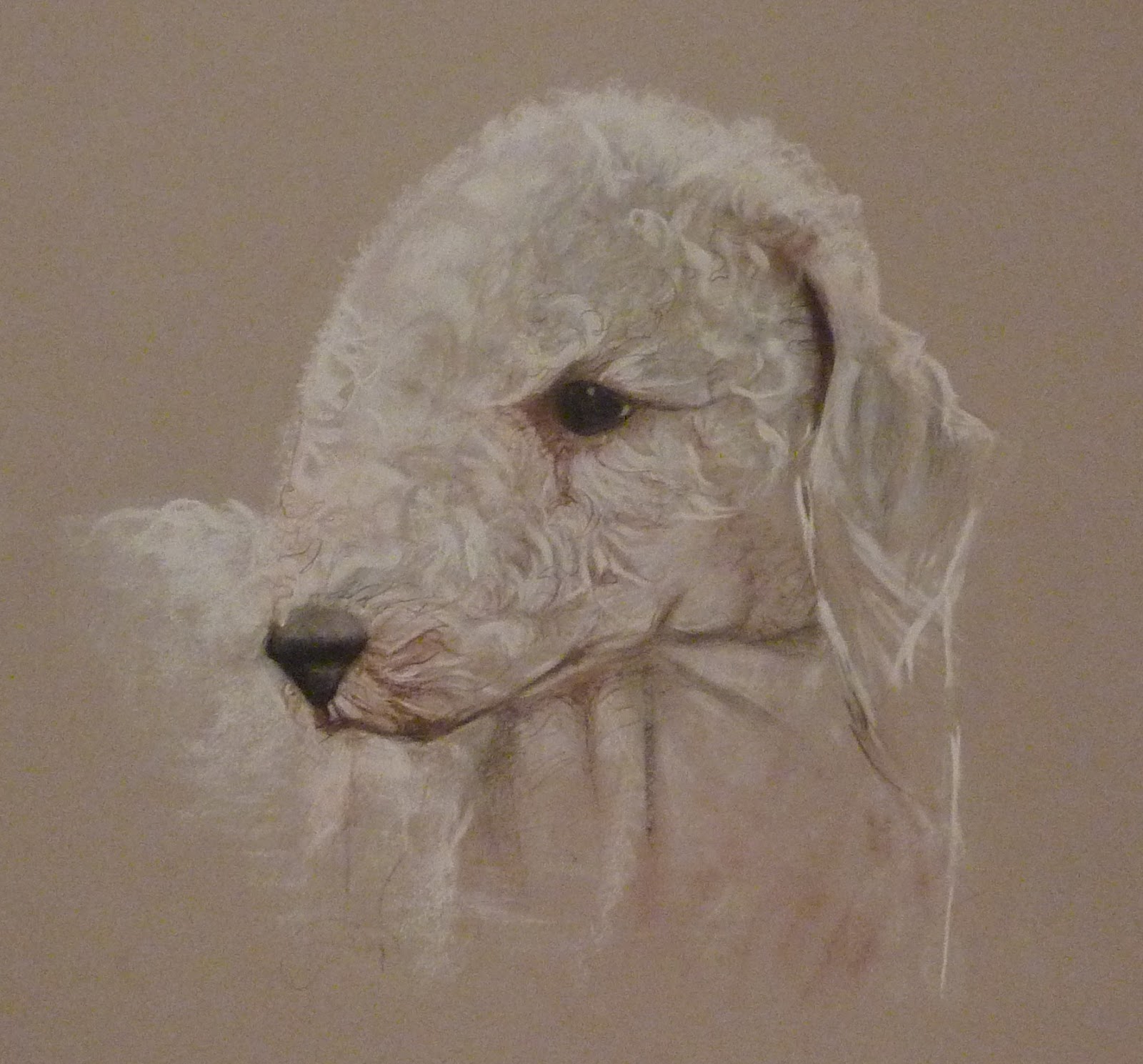 Julie Satchell : Gardener & Artist: About Julie