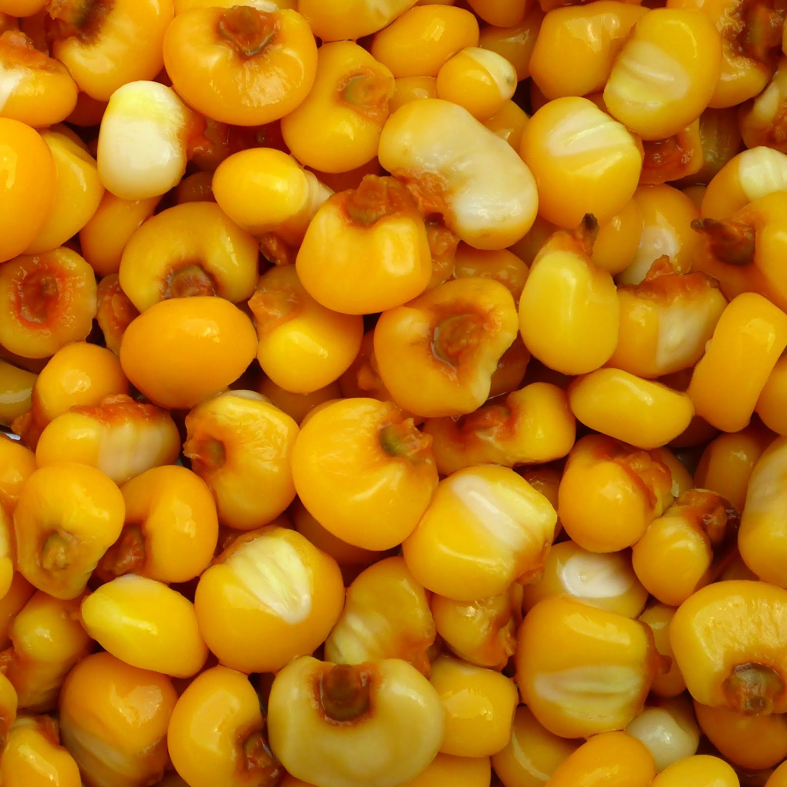From Seed To Table: Nixtamalized Corn For Posole