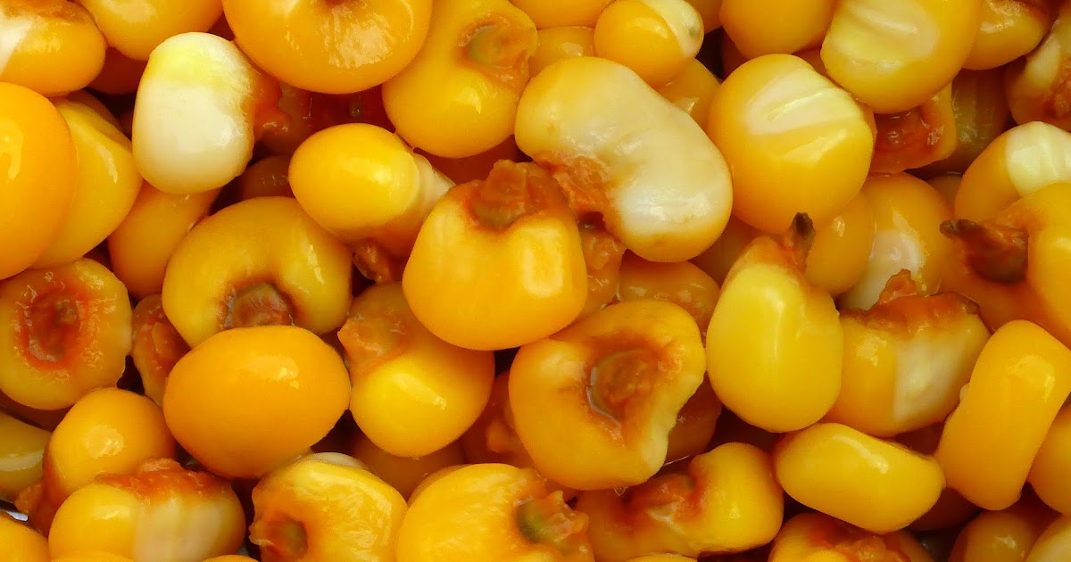 From Seed To Table: Nixtamalized Corn For Posole