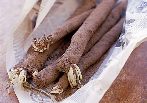 The Low Carb Diabetic: Salsify - Health Benefits - Recipe Suggestions