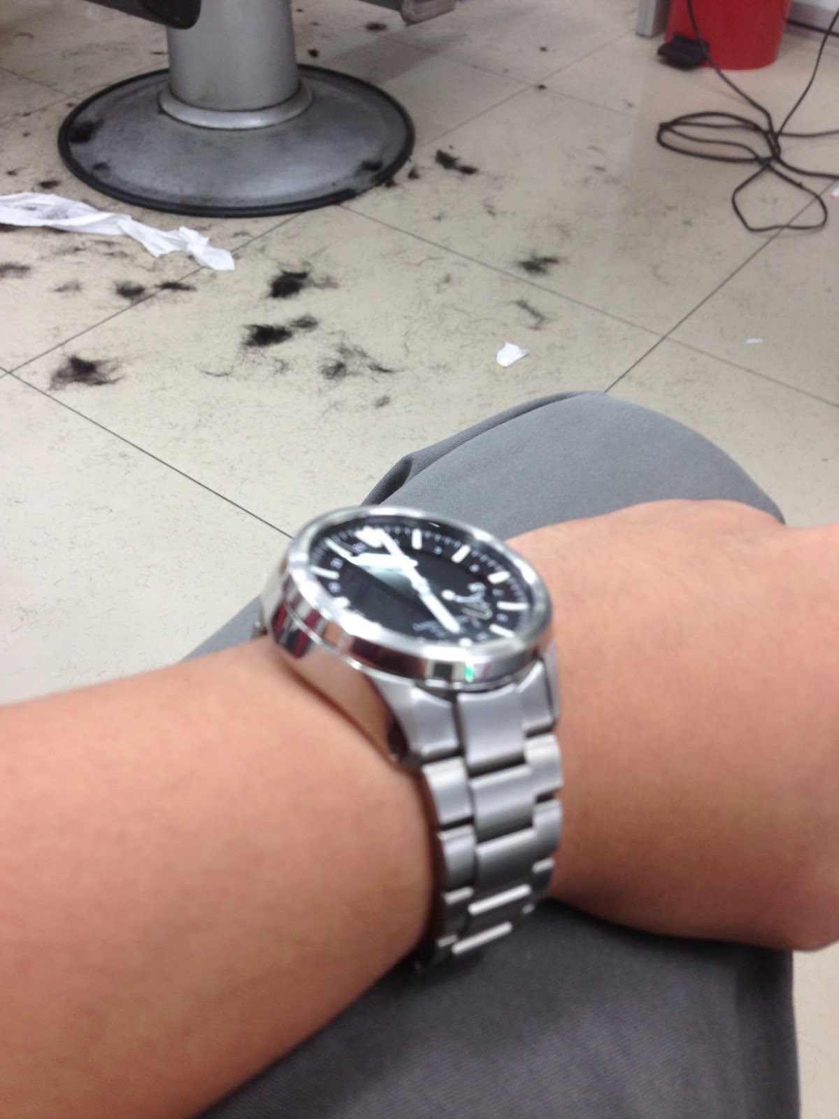 My Eastern Watch Collection: Seiko Prospex Landmaster Spring Drive ...