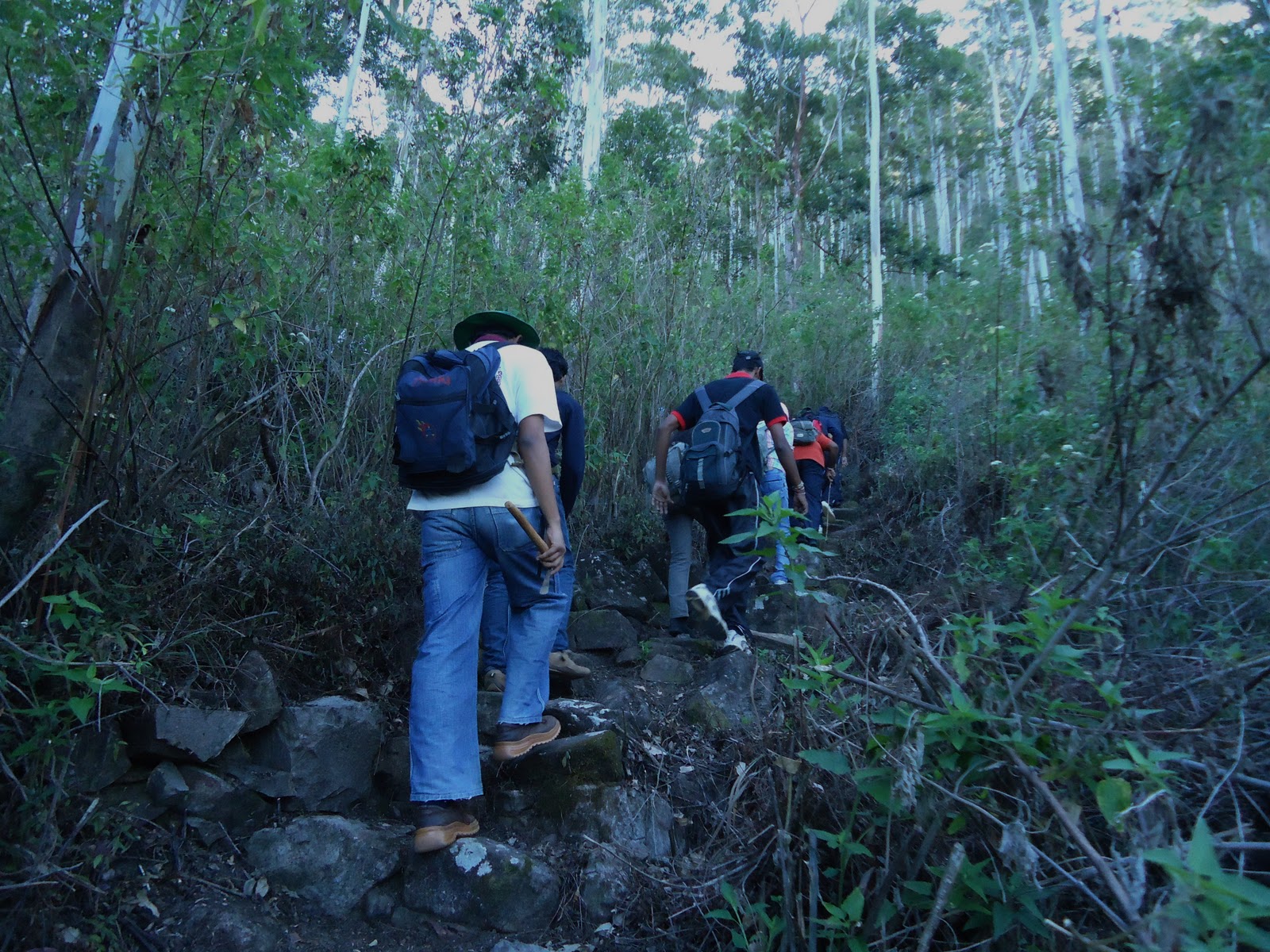 harithacharika - Travelling Nature in Sri Lanka: Haldummulla ( 3-Day ...