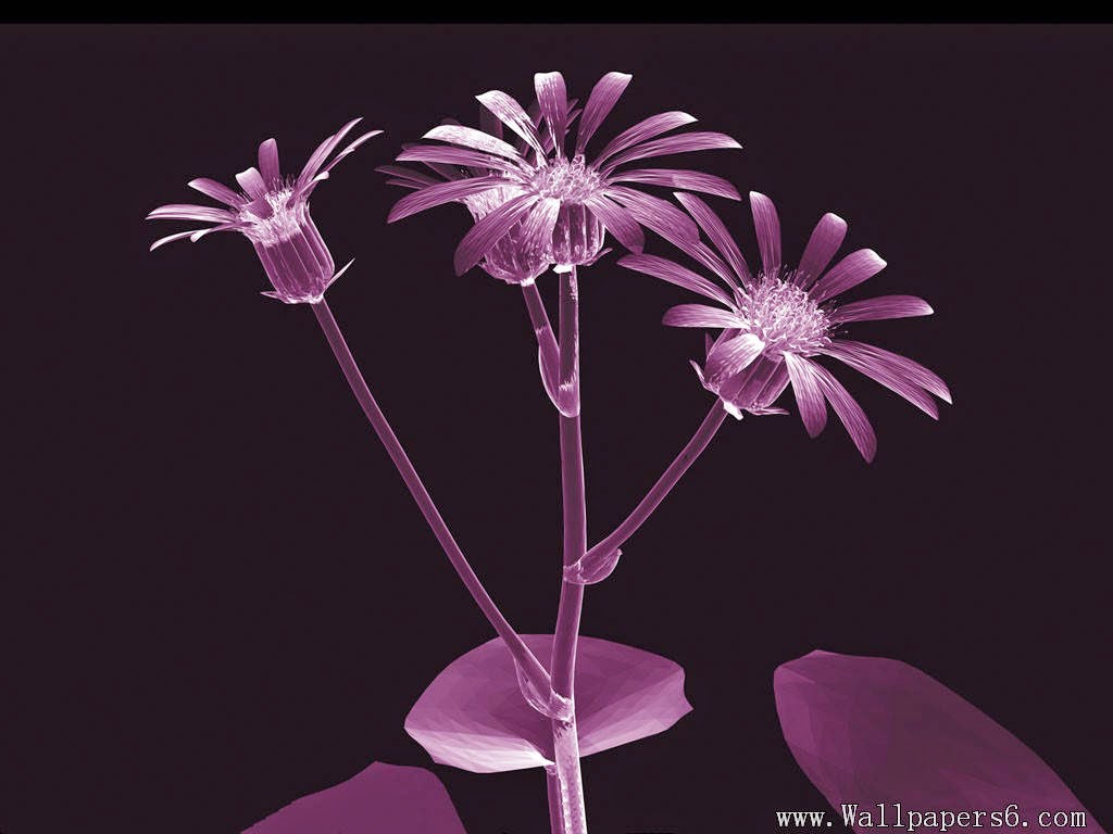 32 خلفية مصممة بتقنية 3D ثلاثية الأبعاد مدهشة - مداد الجليد