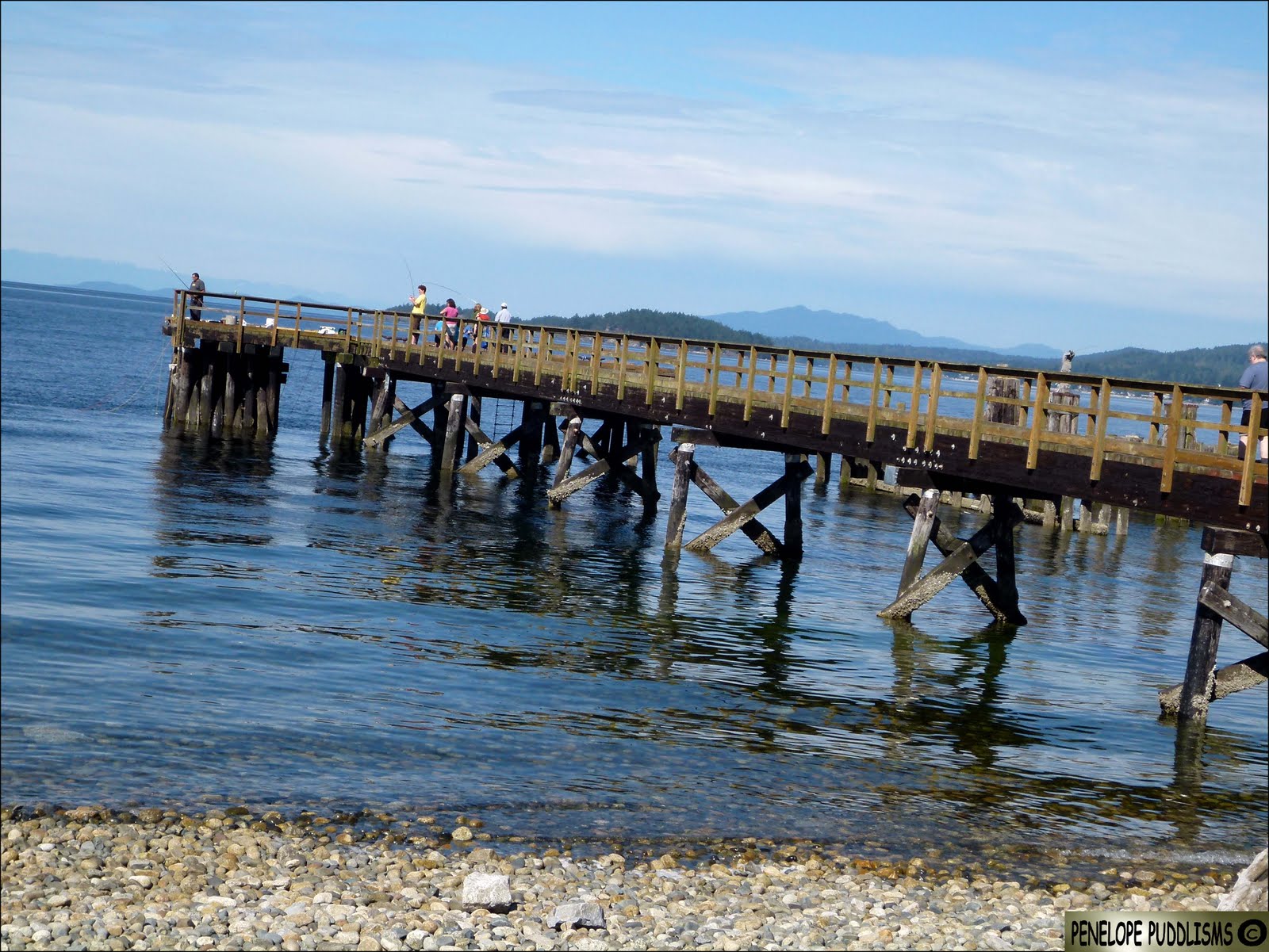 Musings of A Puddlist In B.C.: Wheee!!! Diving Into Davis Bay