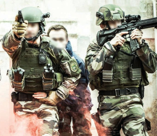 Gsg9 1/87 Unité spéciale: GIGN - FSP