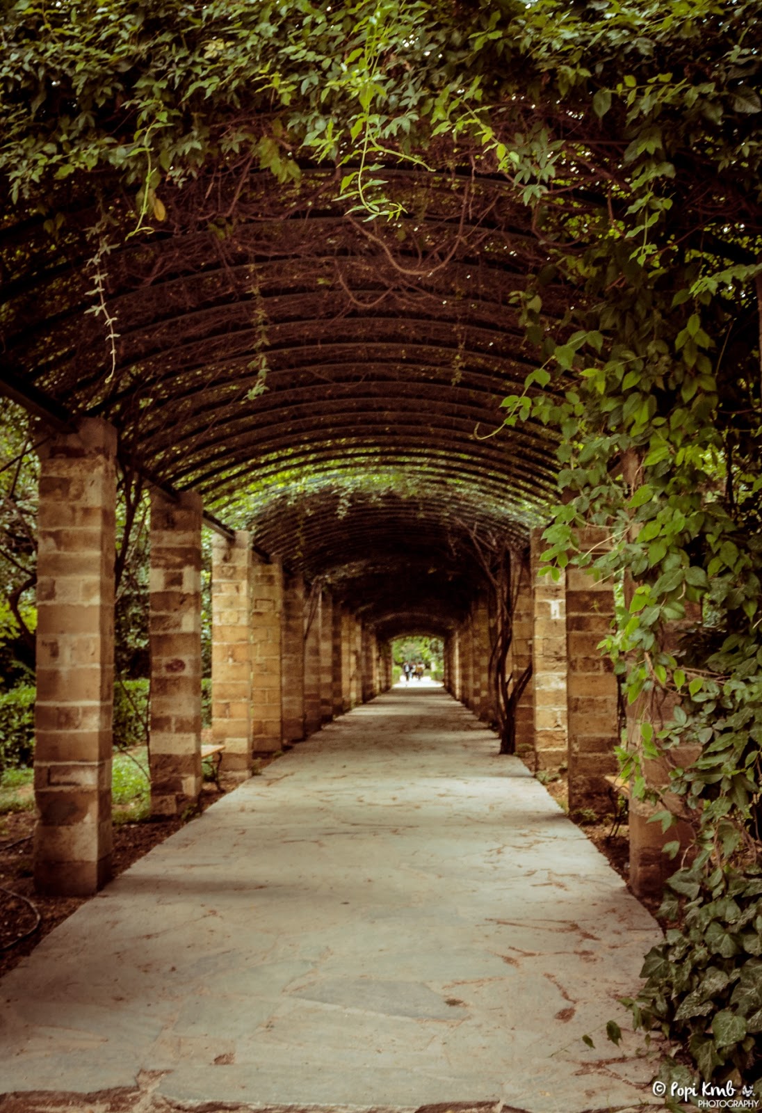 The World Through My Eyes!: Beautiful tunnel!
