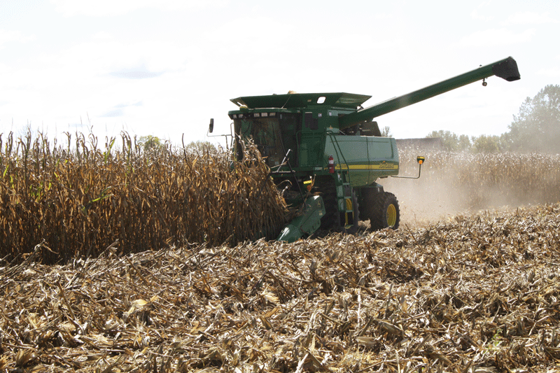 Gal in the Middle: Wrapping Up Corn Harvest 2011