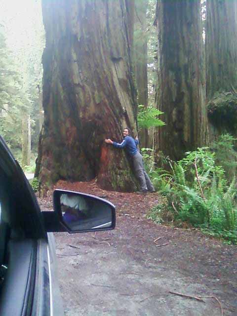 deborah crecelius: May 2012