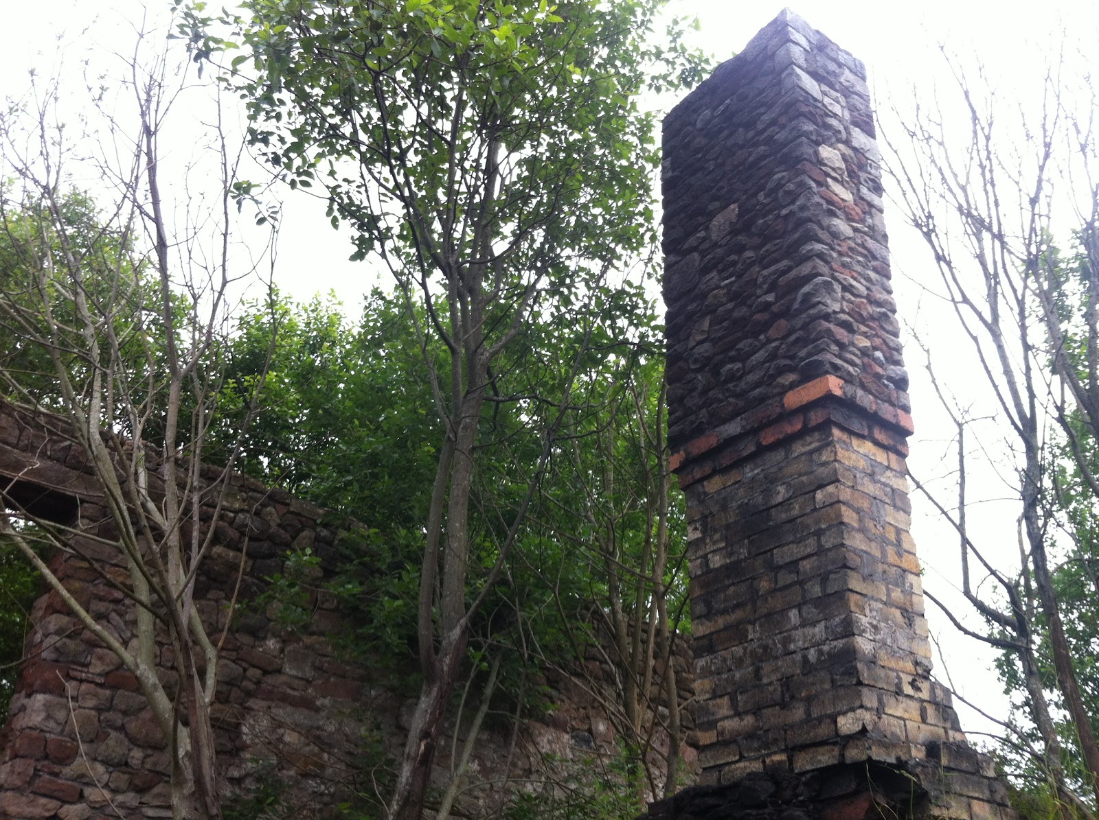 Visions of a Madman: In Ruins: Abandoned Houses in Carmyle