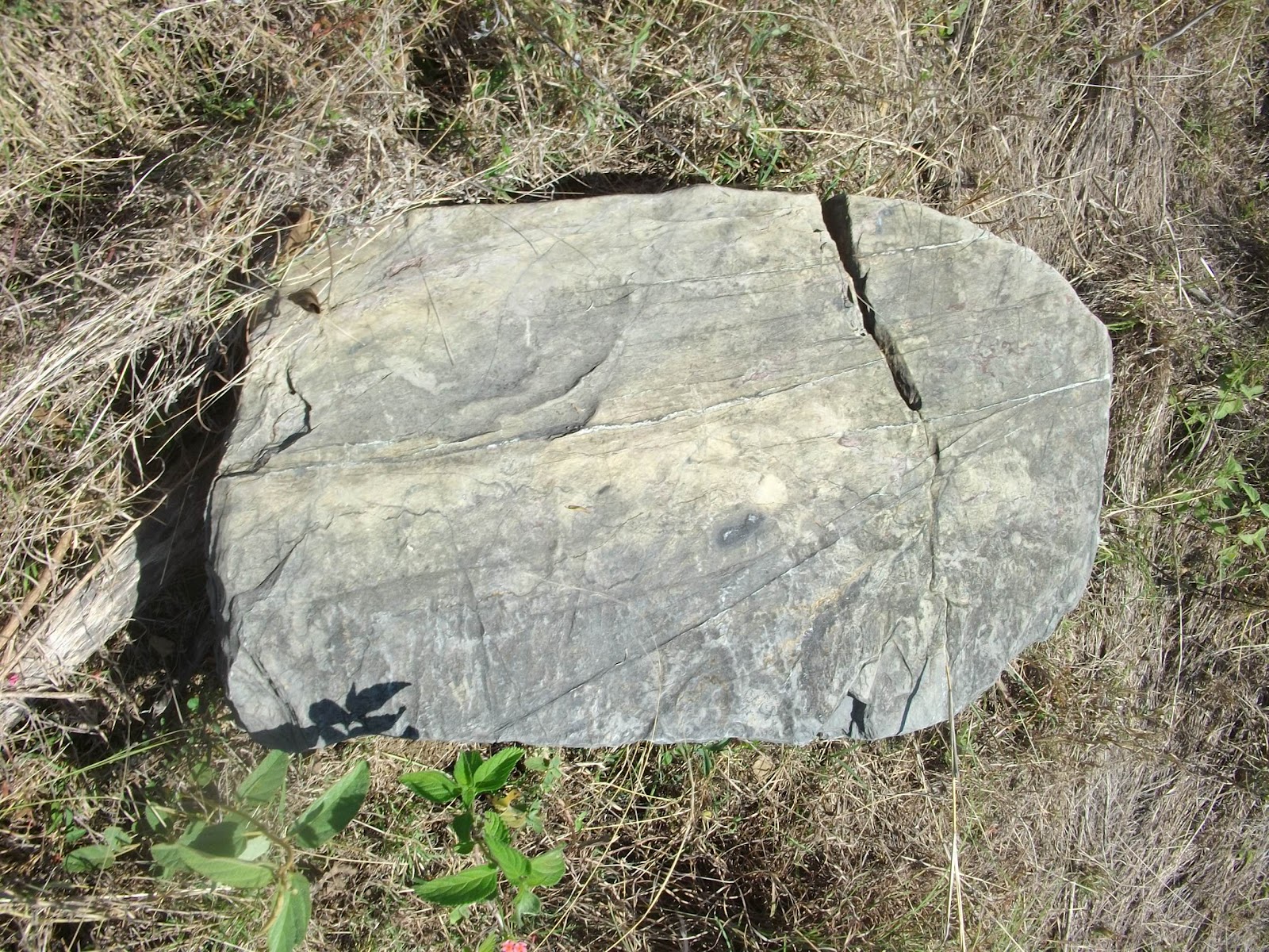 Aboriginal Prehistory Central Qld Area: Origins