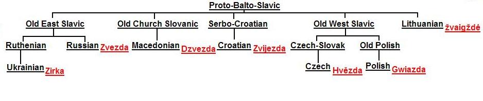 Genealogy for the Everyman: The Life of PIE