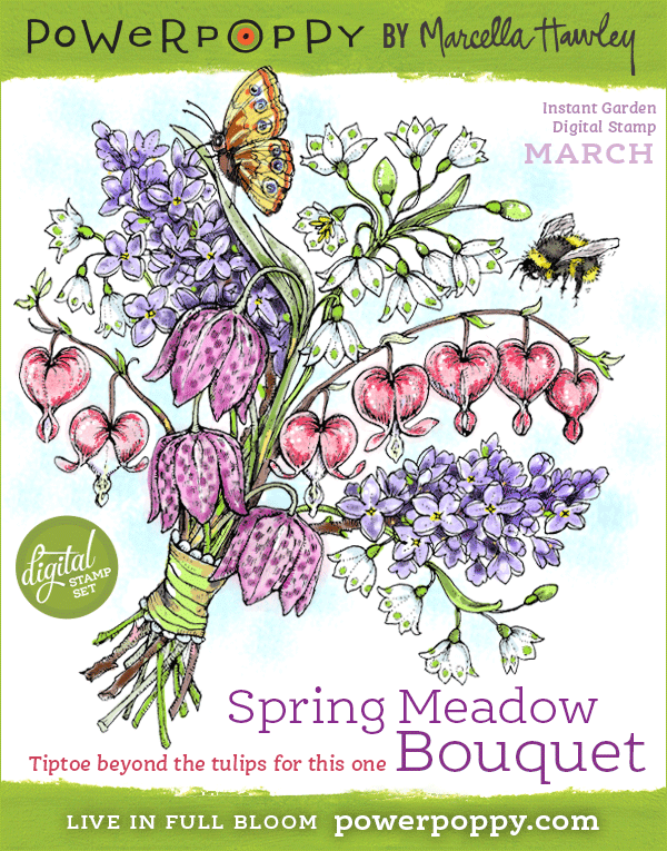 Twinshappy: Spring Meadow