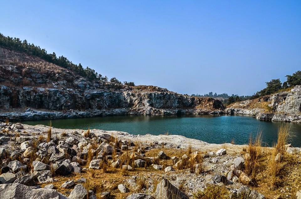 NACHER WALLPAPERS | Goods Wallpaper