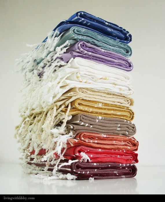 Renée Finberg ' TELLS ALL ' in her blog of her Adventures in Design ...