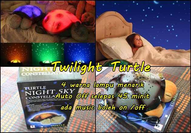 BORONG DI CHINA: TWILIGHT TURTLE LAMP
