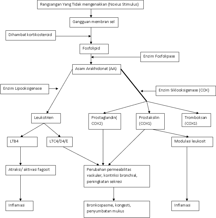 Obat AntiInflamasi pada umumnya bekerja pada Enzim yang membantu ...
