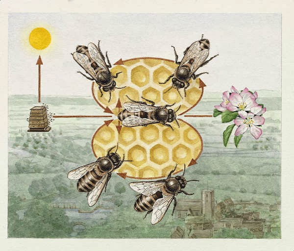 Corona Apicultores: ABEJAS, EL APRENDIZAJE Y LA COMUNICACIÓN