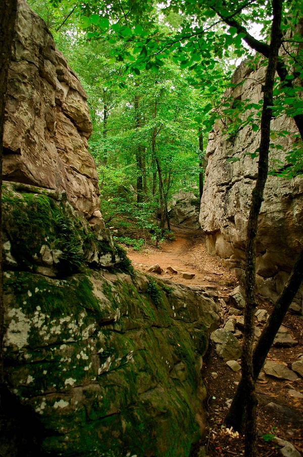 One State, Two Boys: Moss Rock Preserve - Hoover, Alabama - July 15, 2011