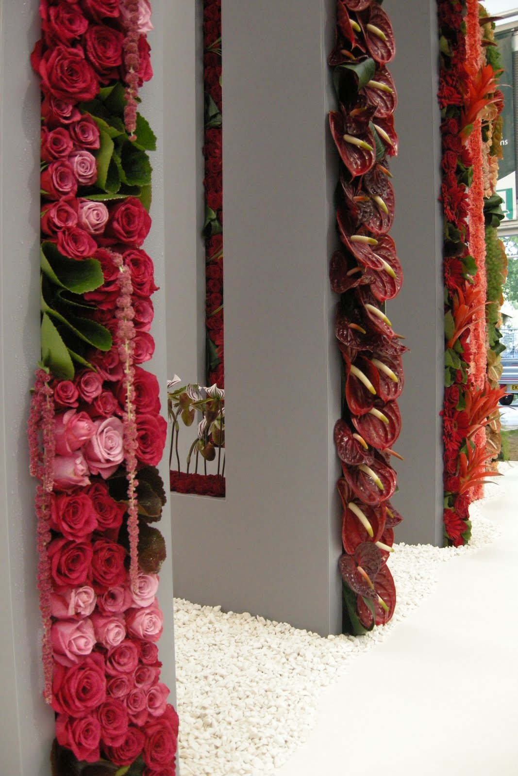 The Floral World of David Ragg