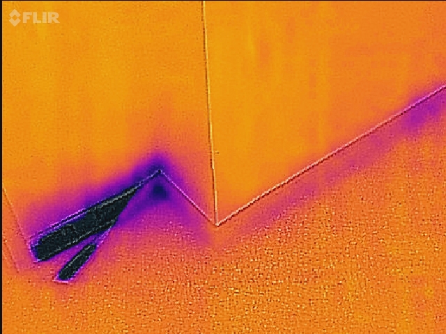 Sustainable Mycology: Water leak detection with FLIR one IR camera