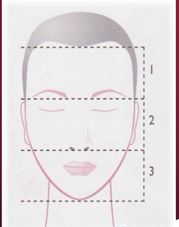 IMAGEN PERSONAL - SALUD INTEGRAL : ESTRUCTURA CAPILAR, FORMA Y ADECUACIÓN