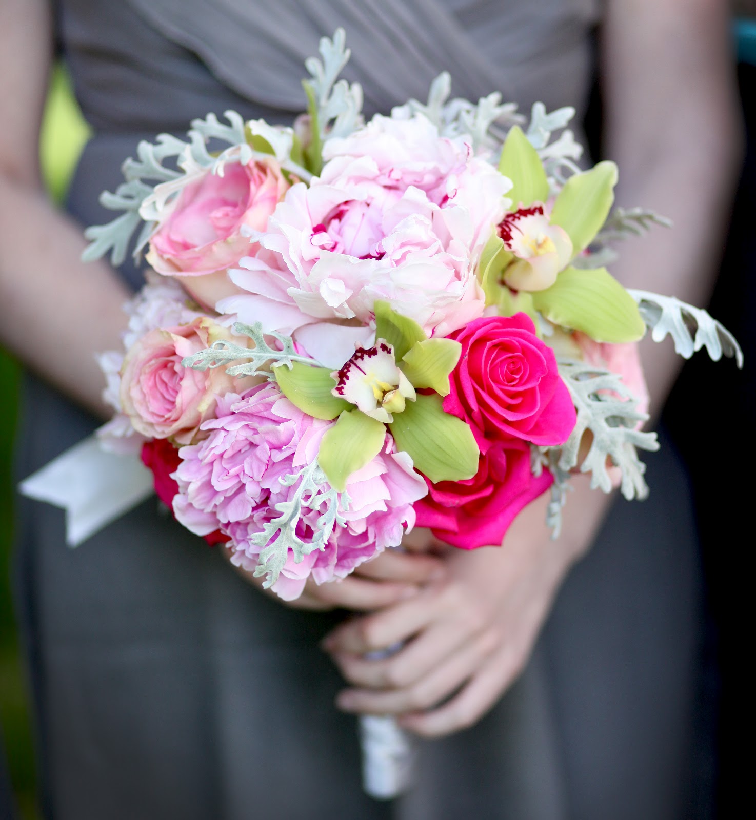 Michael Polito Photographer