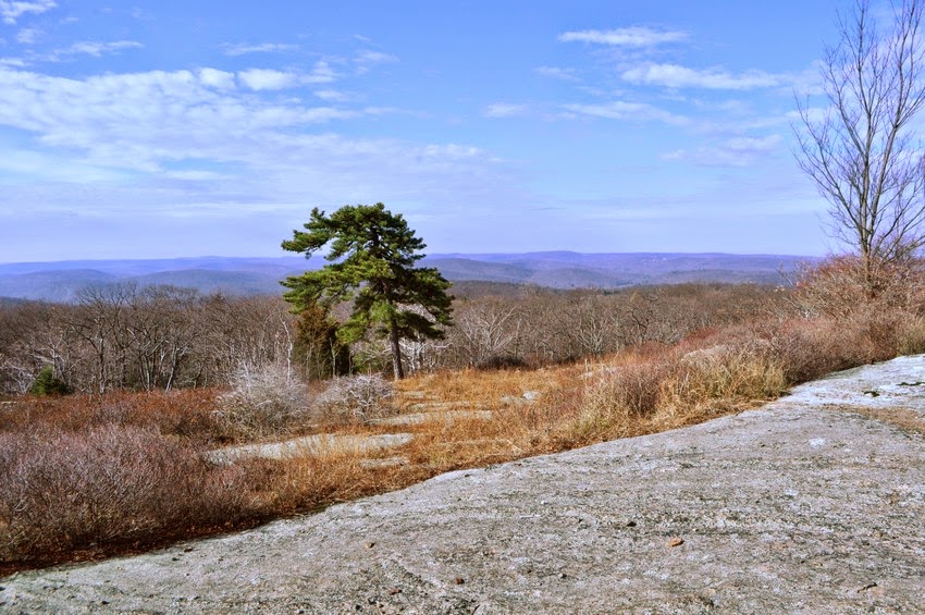 Harriman Hiker: Harriman State Park and Beyond: Black Rock Mnt and ...