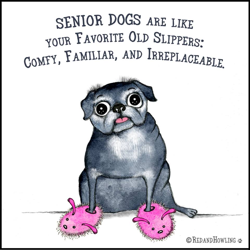 Red and Howling Cartoon by Amy Luwis | from the Dog's Paw- A Bloggery ...